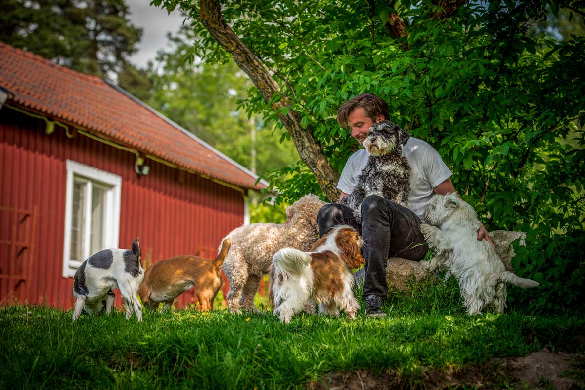 Moderna & ljusa hunddagis, intill skog i Stockholm | Changdobels